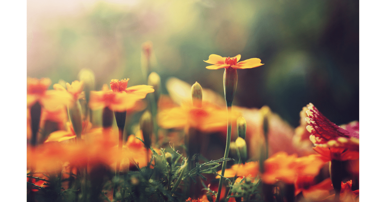 小さいうちに手を打つ｜五術研究家 Ai／一般社団法人みんなのグリーフケア代表森田藍子