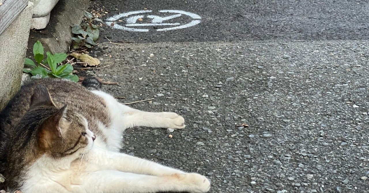 路地の風景と猫と、PUDO｜D-RASHISA