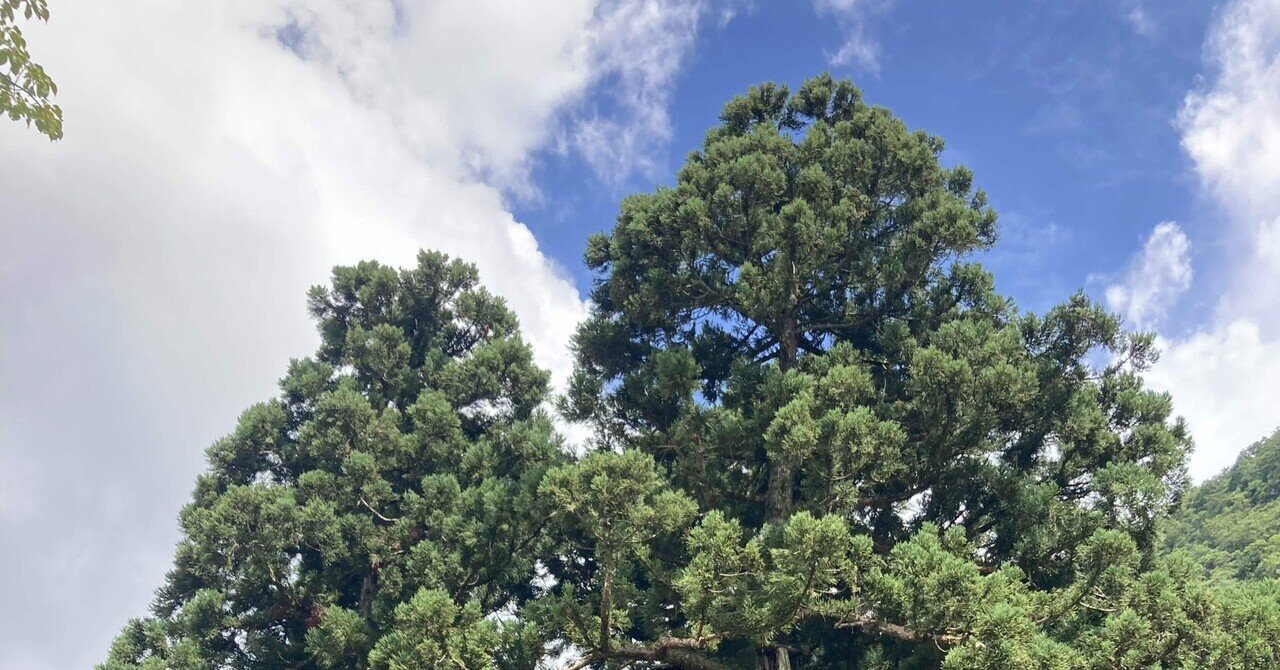 想定外を楽しむ｜yoruse