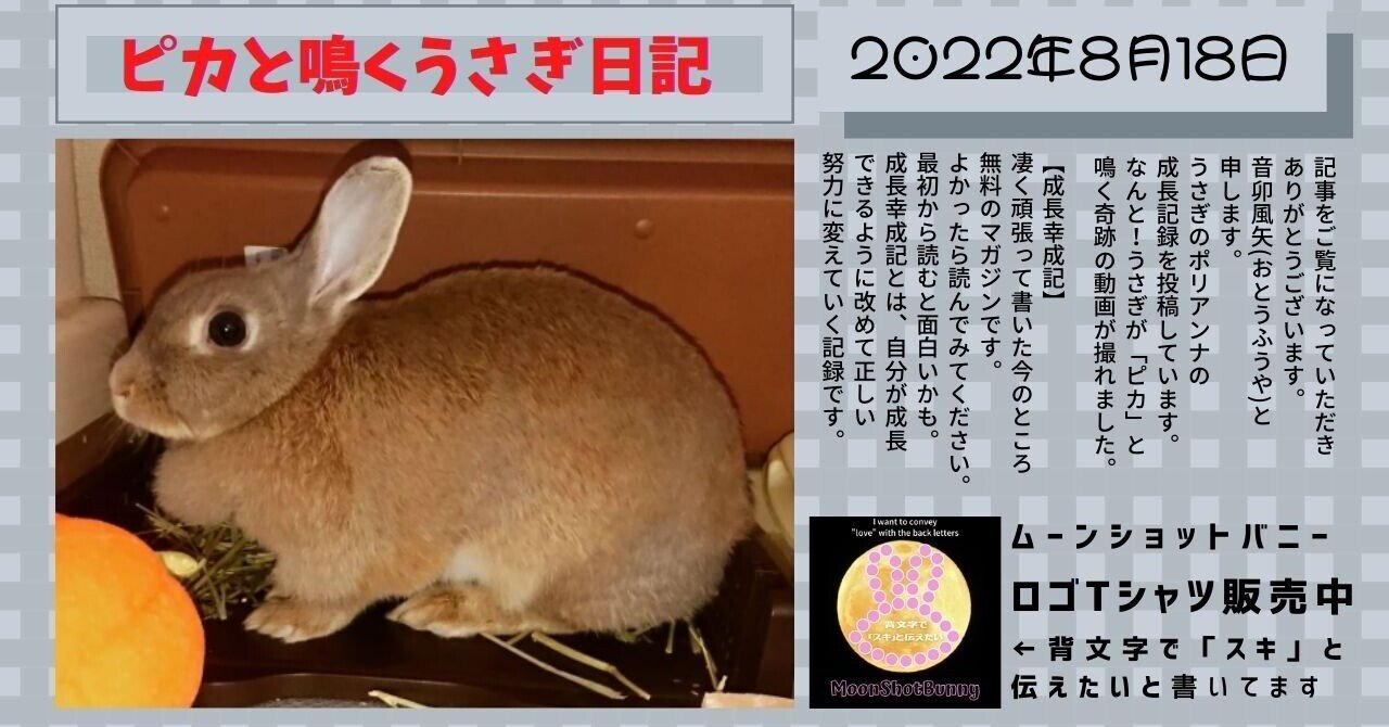 約4000年前にアブラハムという人が神のお告げを聞いたと思う人がシェアしてくれる日｜背文字で｢スキ｣と伝えたいウサギのポリアンナ🐰&音卯風矢 ...