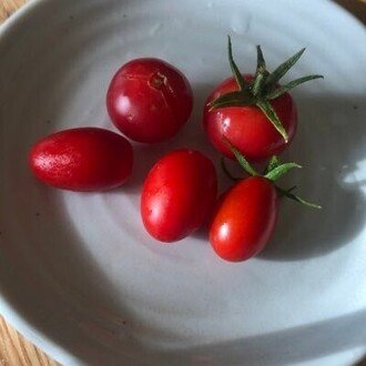 まずいトマト｜note