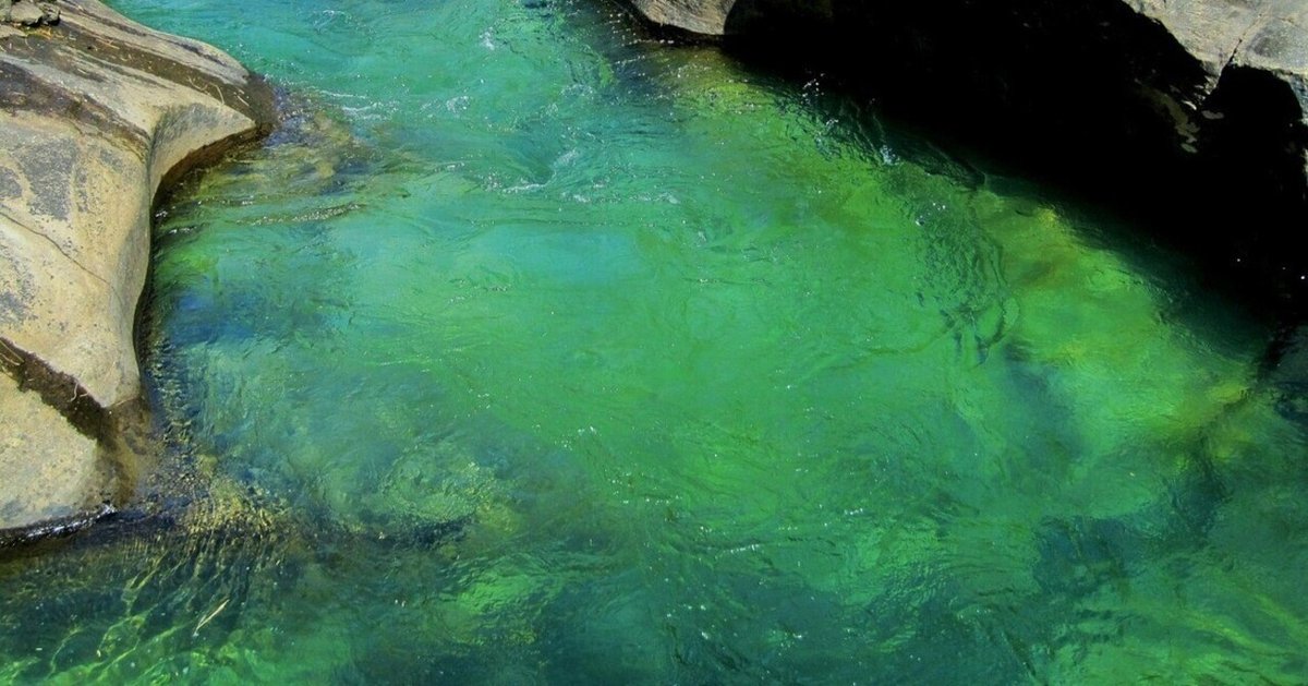 【怪談手帖】淵子【禍話】｜🖤