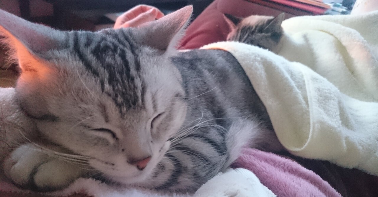 奇跡講座WB実践47 神は強さであり、その強さを私は信頼する｜(Linp&Ruru)本当の自分を知り、本当の自分として生きる