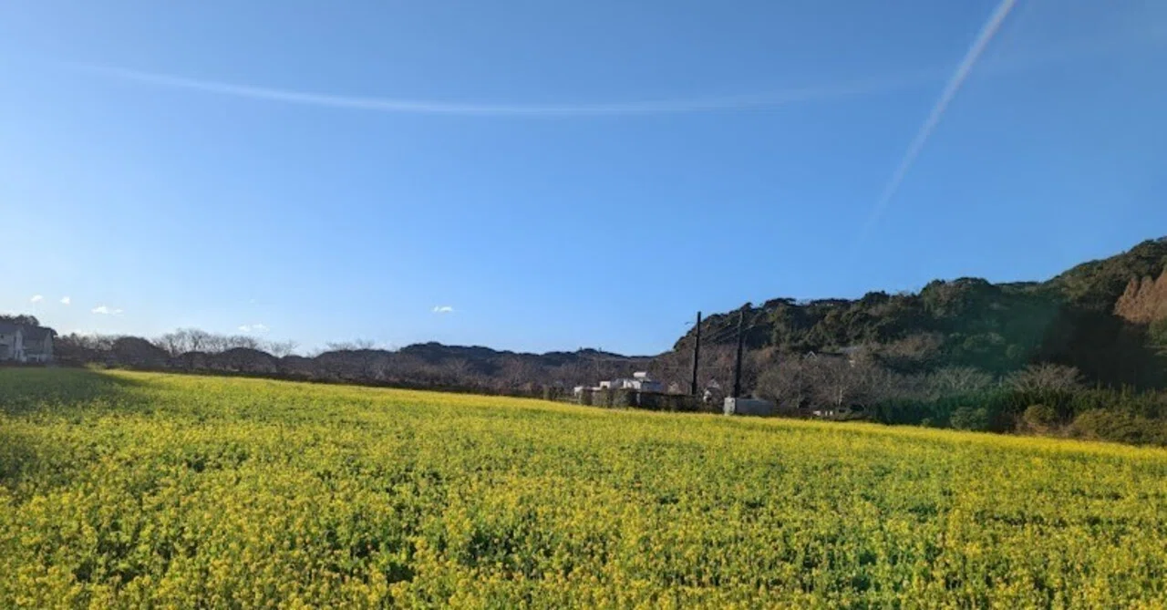 five realities 〜怒涛〜 (4)｜kou