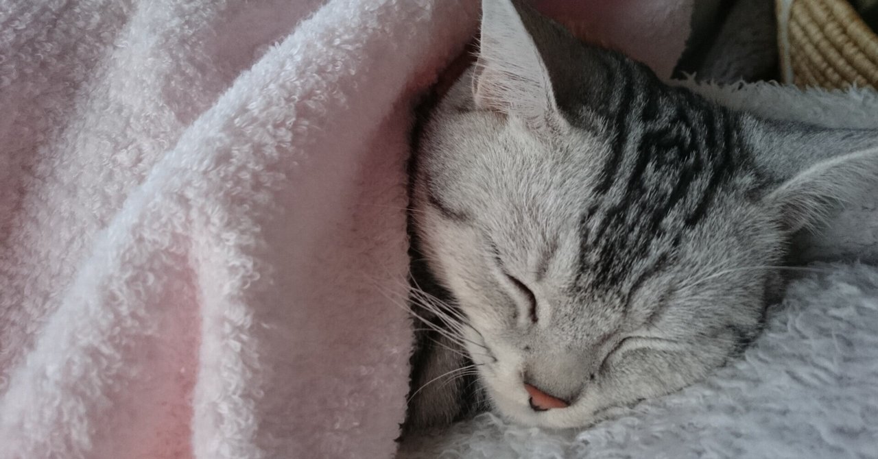 奇跡講座WB実践48 恐れるべきものは何もない｜(Linp&Ruru)本当の自分を知り、本当の自分として生きる