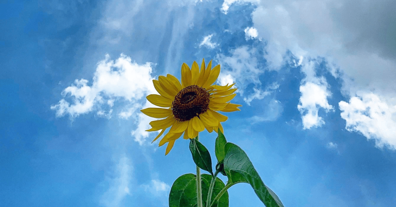 変えれることと、変えれないこと｜Kosuke_Kakihara