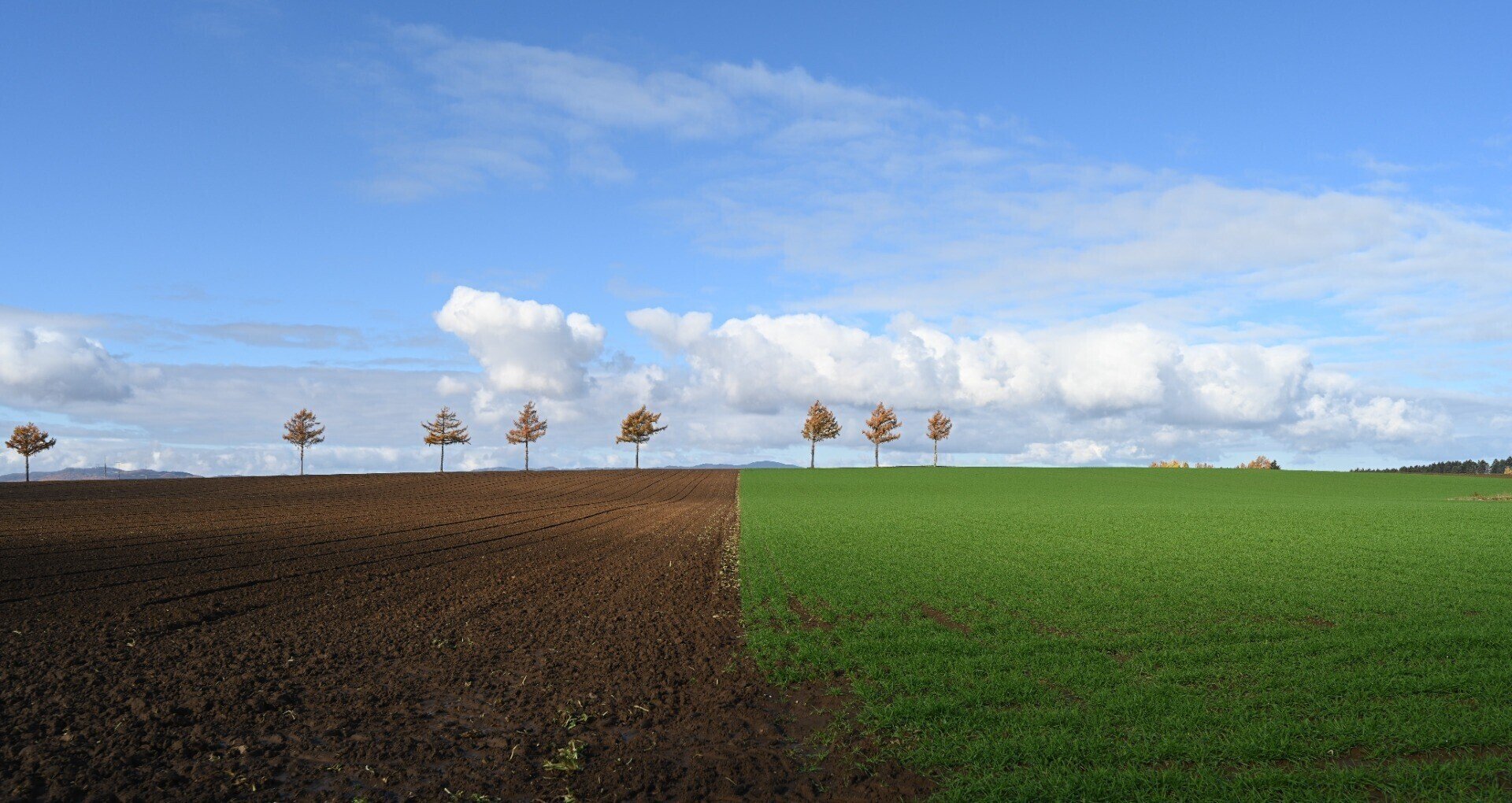 Kenichi Aichi｜note