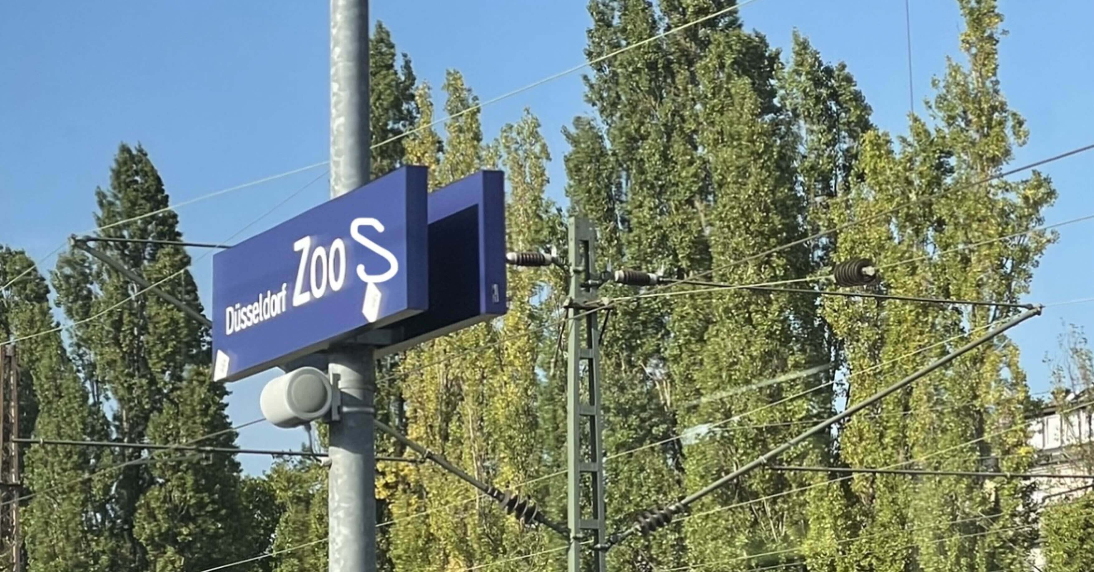 かつらあおい｜ ZOOS｜note