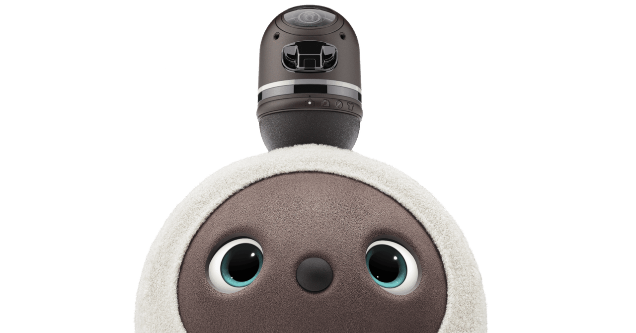 注目の最先端ロボット「LOVOT」の技術者にインタビューをしました！ ＃1｜kaisei