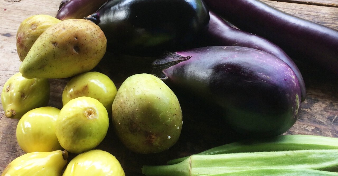 目指す世界に近づいているっぽい｜SORANOSITA