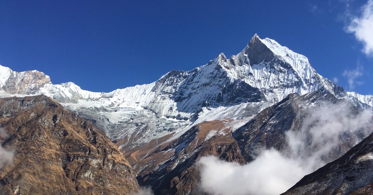 胃ガンからの生還｜さのきみ