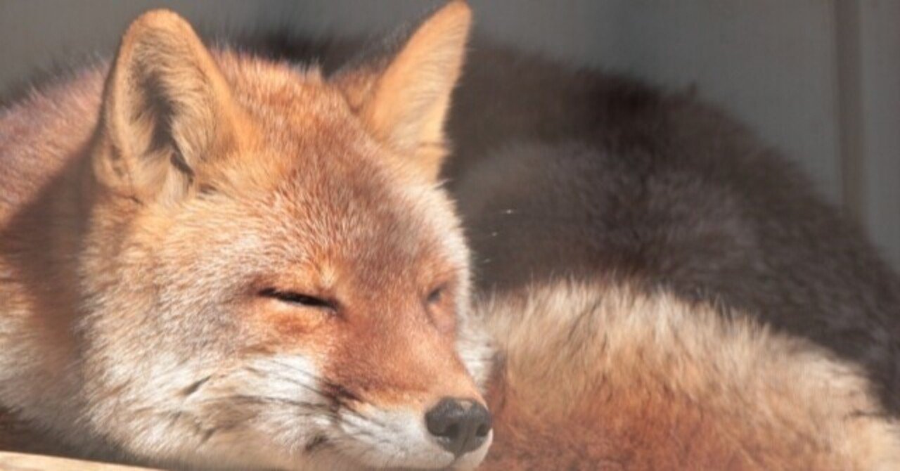 メタマスク（MetaMask）の秘密鍵ってなに？｜NFT事業部【a-space】