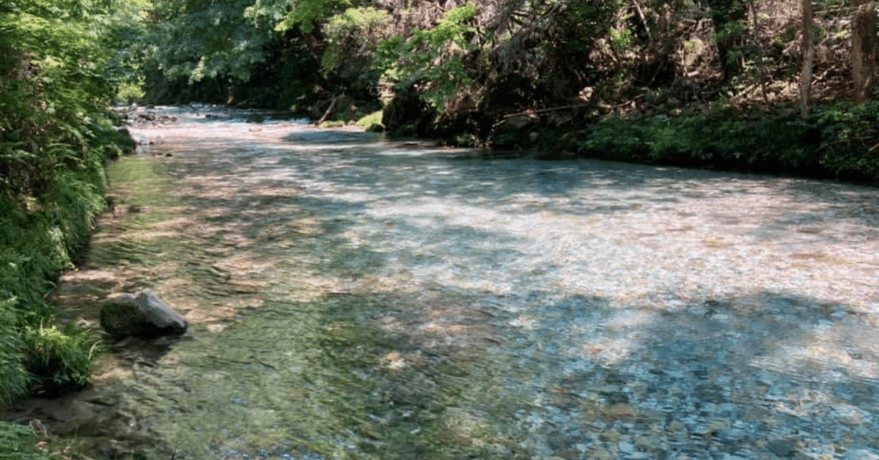 【岐阜奇跡の清流】明智光秀のエメラルドグリーンの楽園｜コジエリ@食と体の使い方