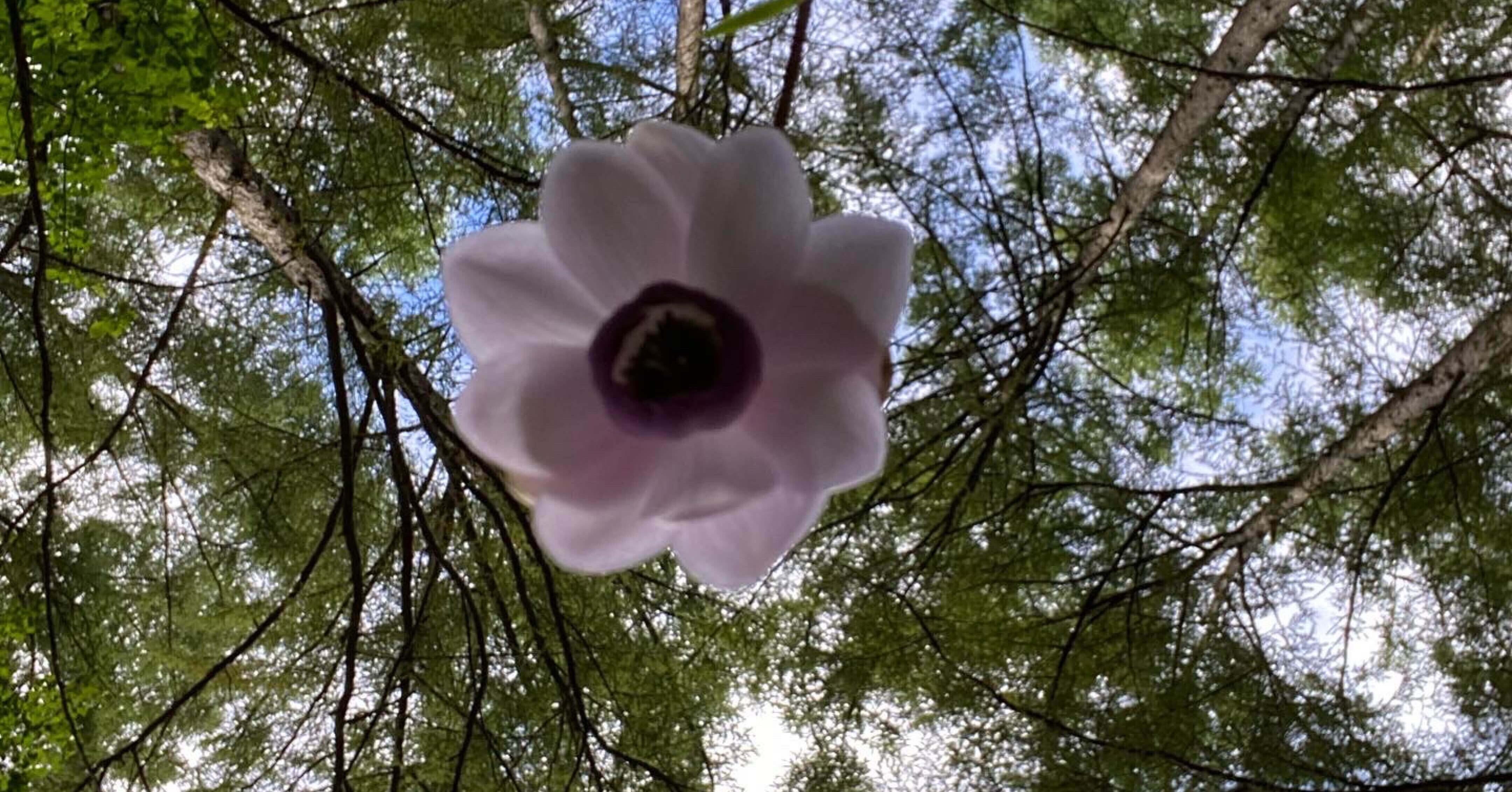 sasaki takahiro｜note