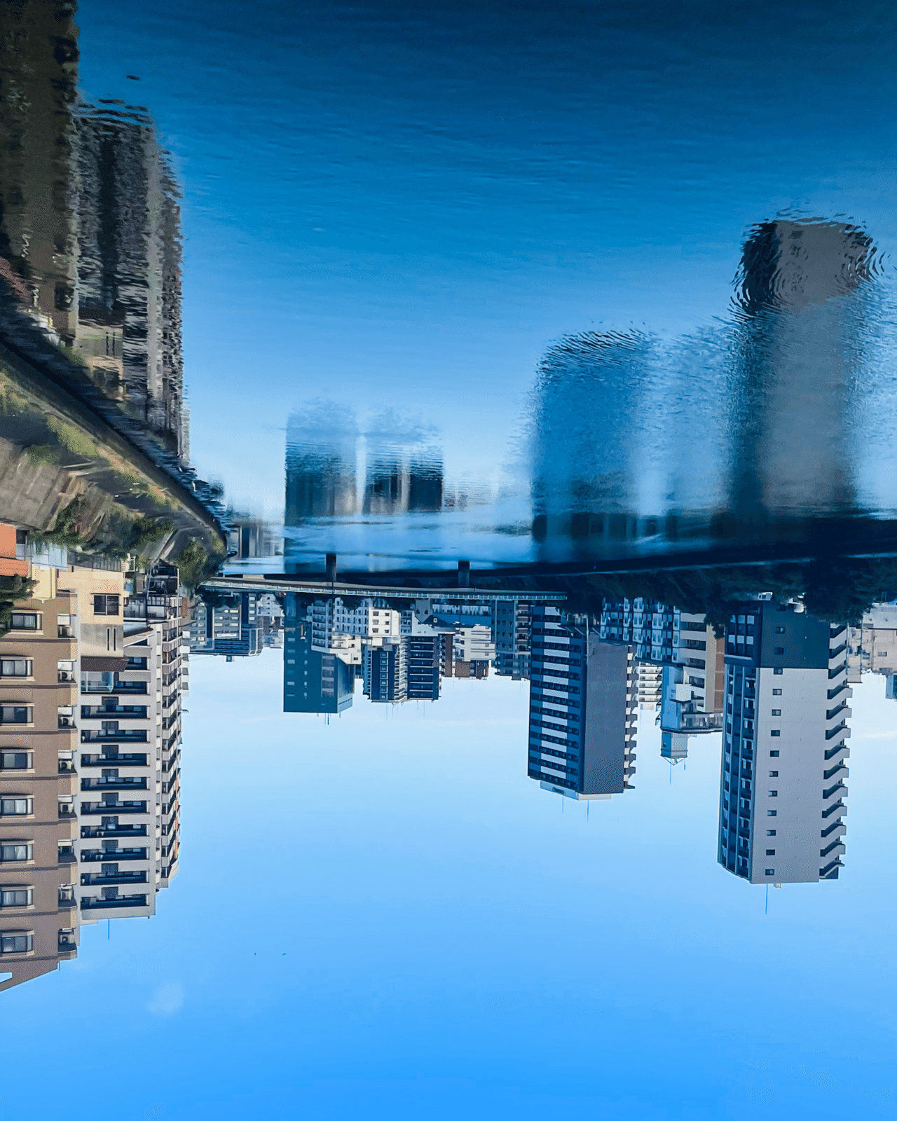 この時期になると思い出してしまう人と、忘れられない人の境界線があいまい。｜こゆき（koyuki）