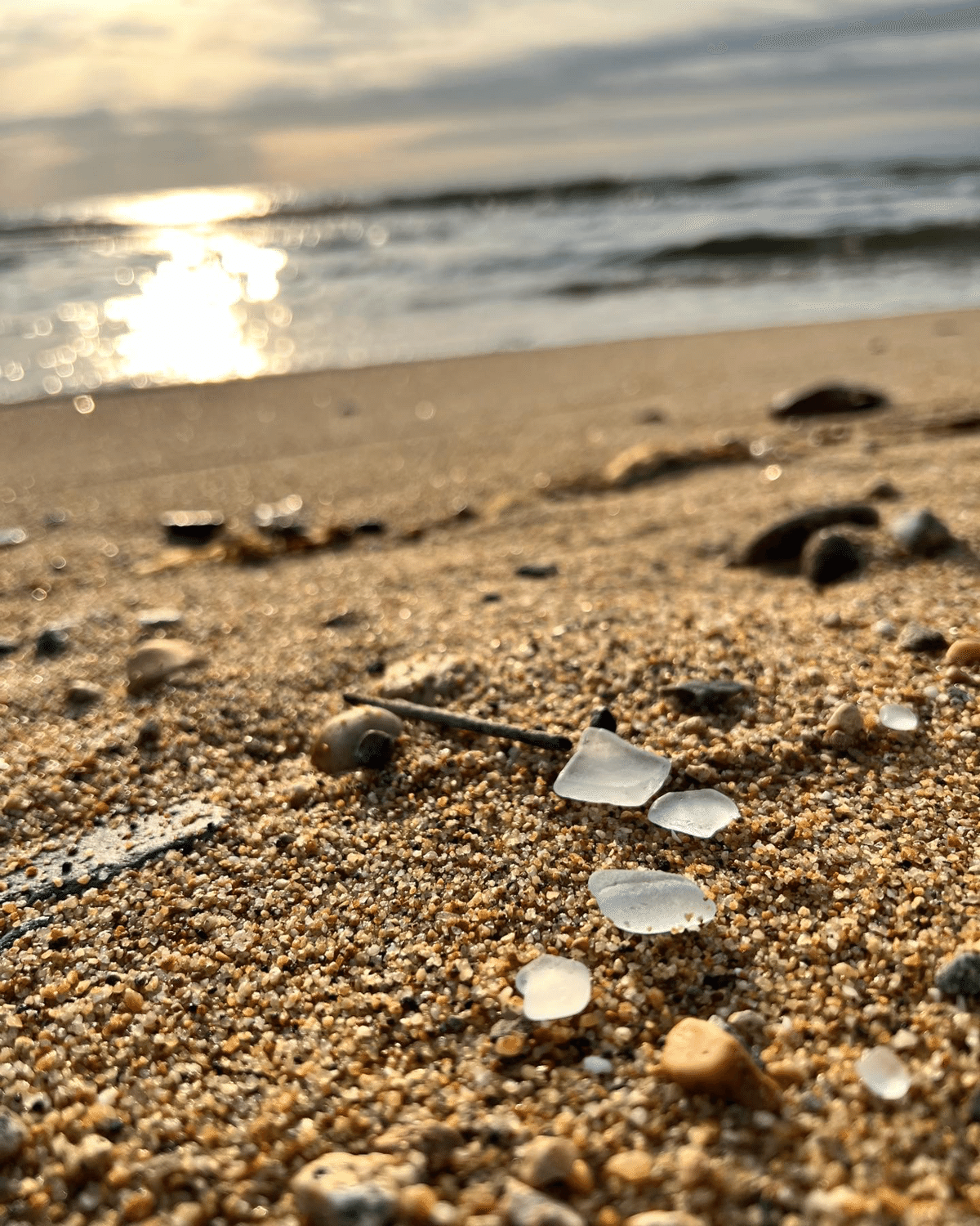 自己紹介｜FLOW OCEAN