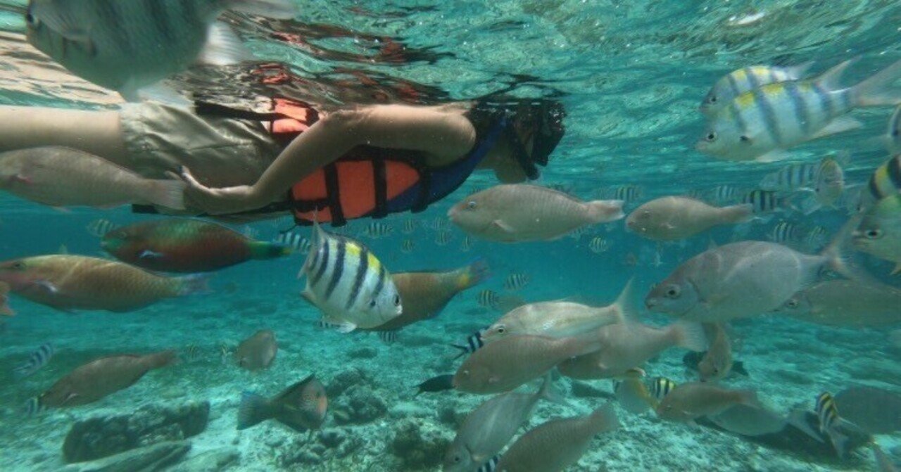 セブ親子留学の話②〜現地編〜｜YUI-KICHI★