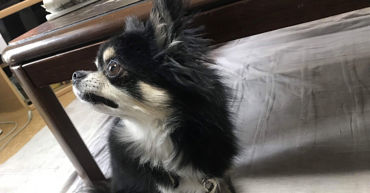 タラレバ娘。｜momotaro｜note