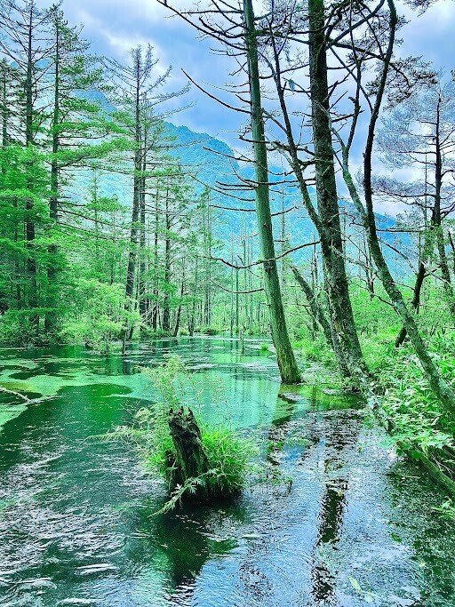 『おはようnote☀️ 』 おはよう御座います^ ^ 今日も始まりましたね☘️ 今日も気をつけて、 いってらっしゃい😊 ｜Ryosuke Matsusima