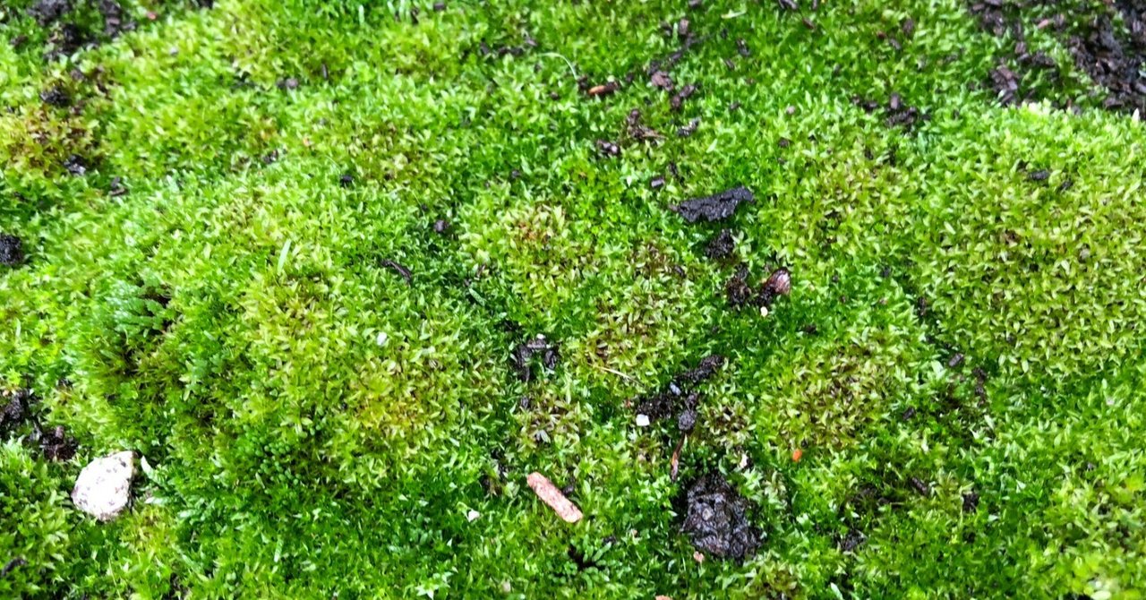 ふと・・・思う｜poporin