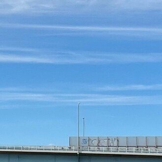 MF International Club｜note