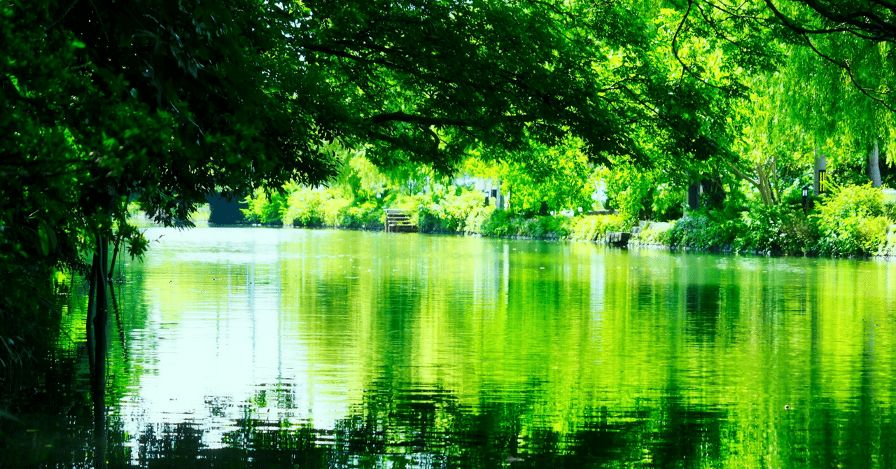 【柳川で怪魚と妖怪に遭う】｜food104 magazine 編集長