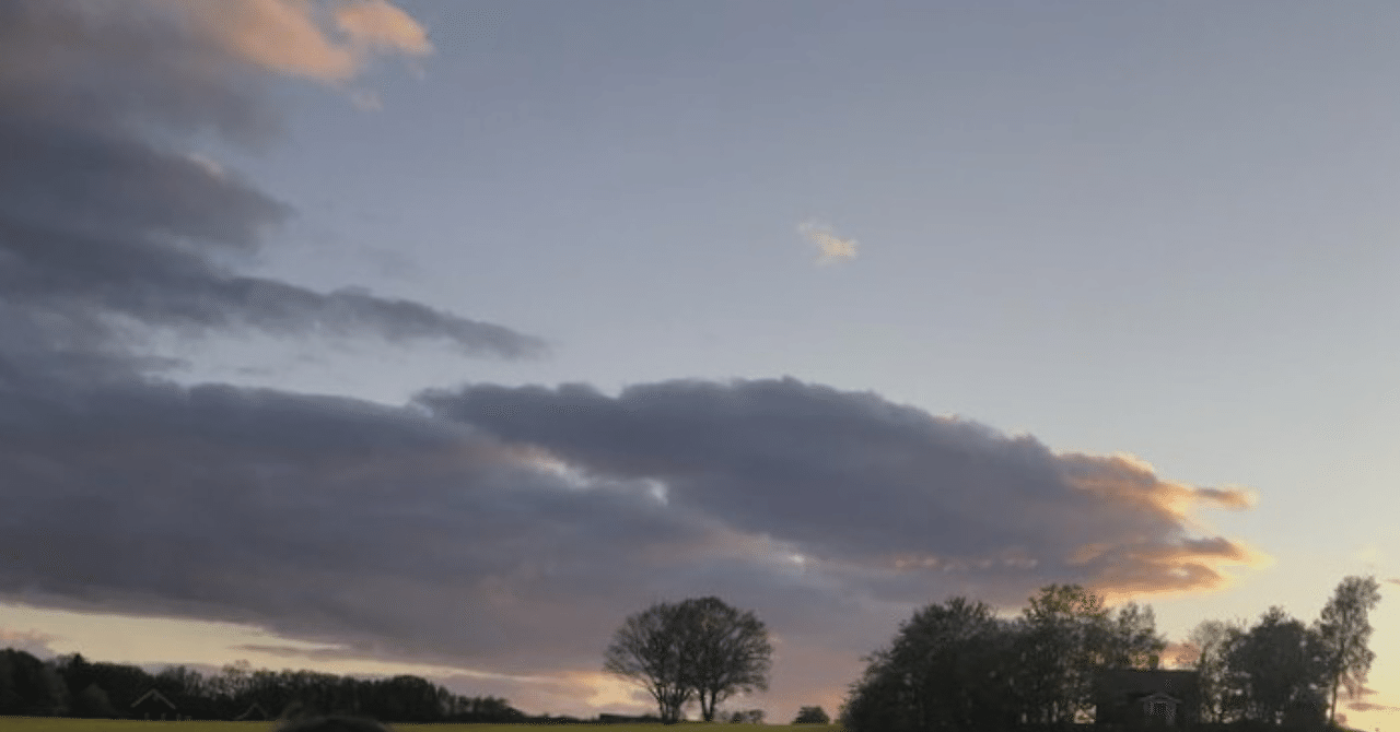 (6) 今あるものは過去｜shiho｜note