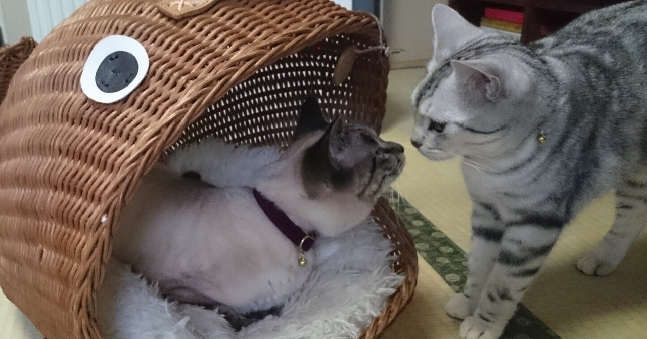 奇跡講座WB実践54 復習16～20｜(Linp&Ruru)本当の自分を知り、本当の自分として生きる