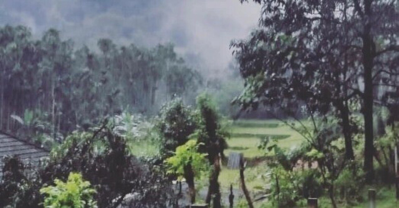 インド日記 18日目｜Ryoko Jones