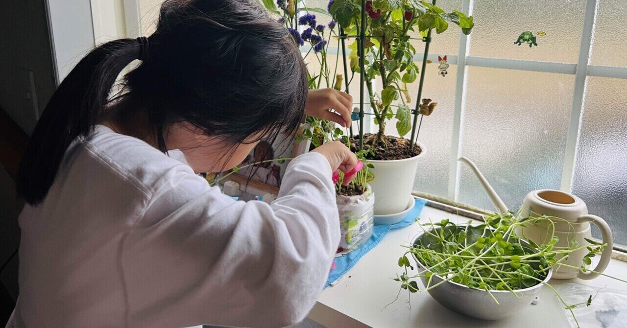 nikki20220823-24｜hikashi