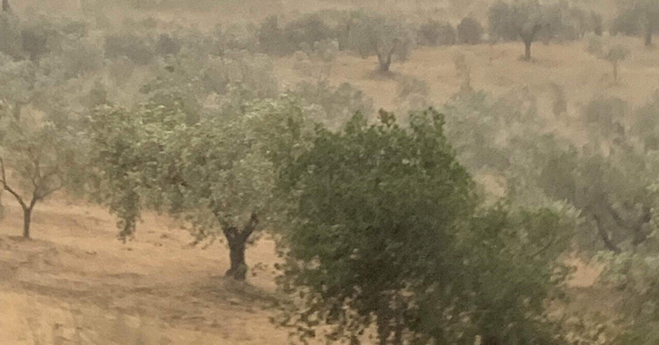 8月の雨｜OTA YUKI