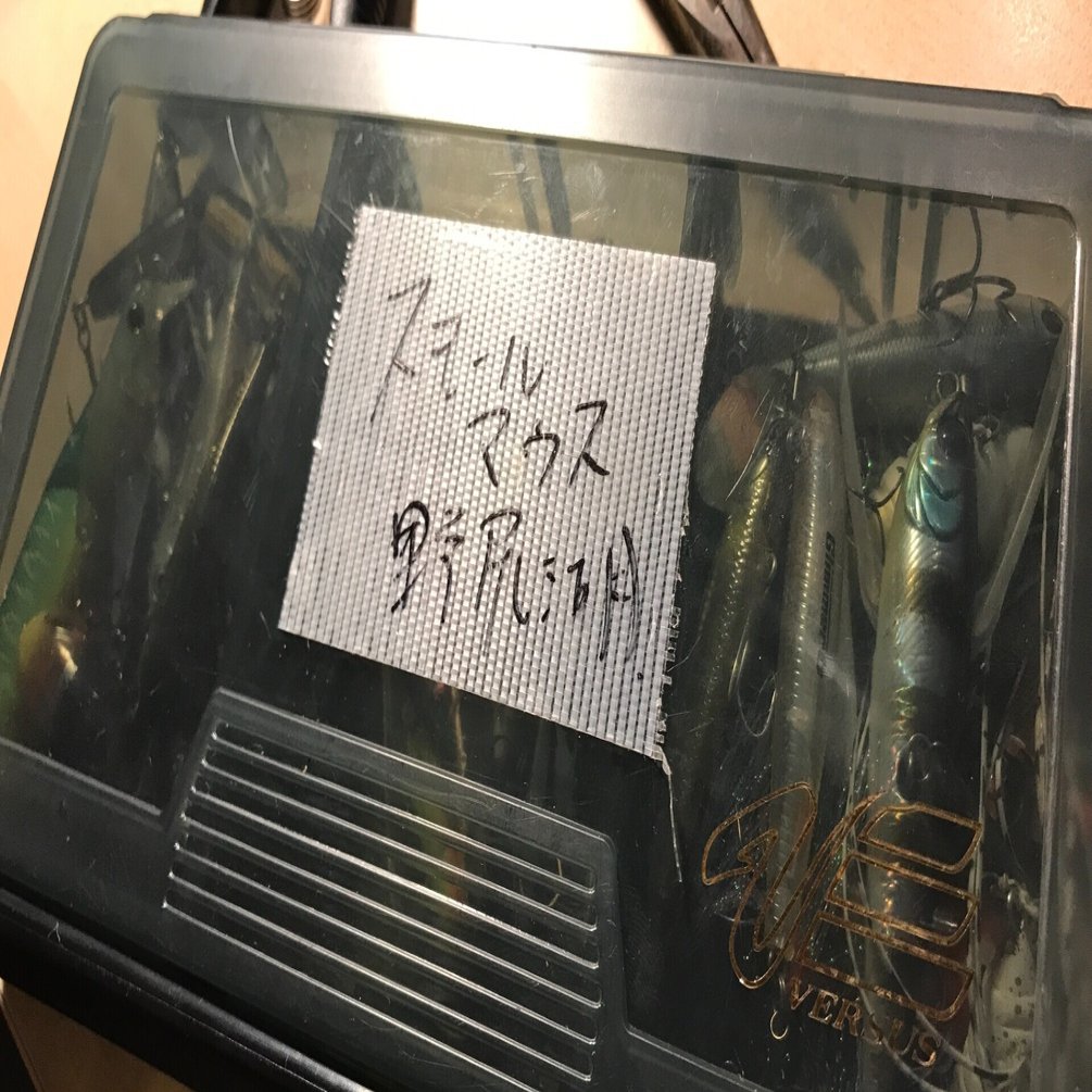 洗濯物干すのもバスフィッシング｜水藤友基 / Tomoki Suito｜note