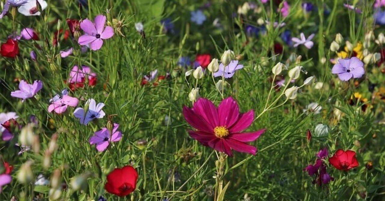 自分の成長を可視化する。｜RYuJi / 株式投資で夢を叶える人