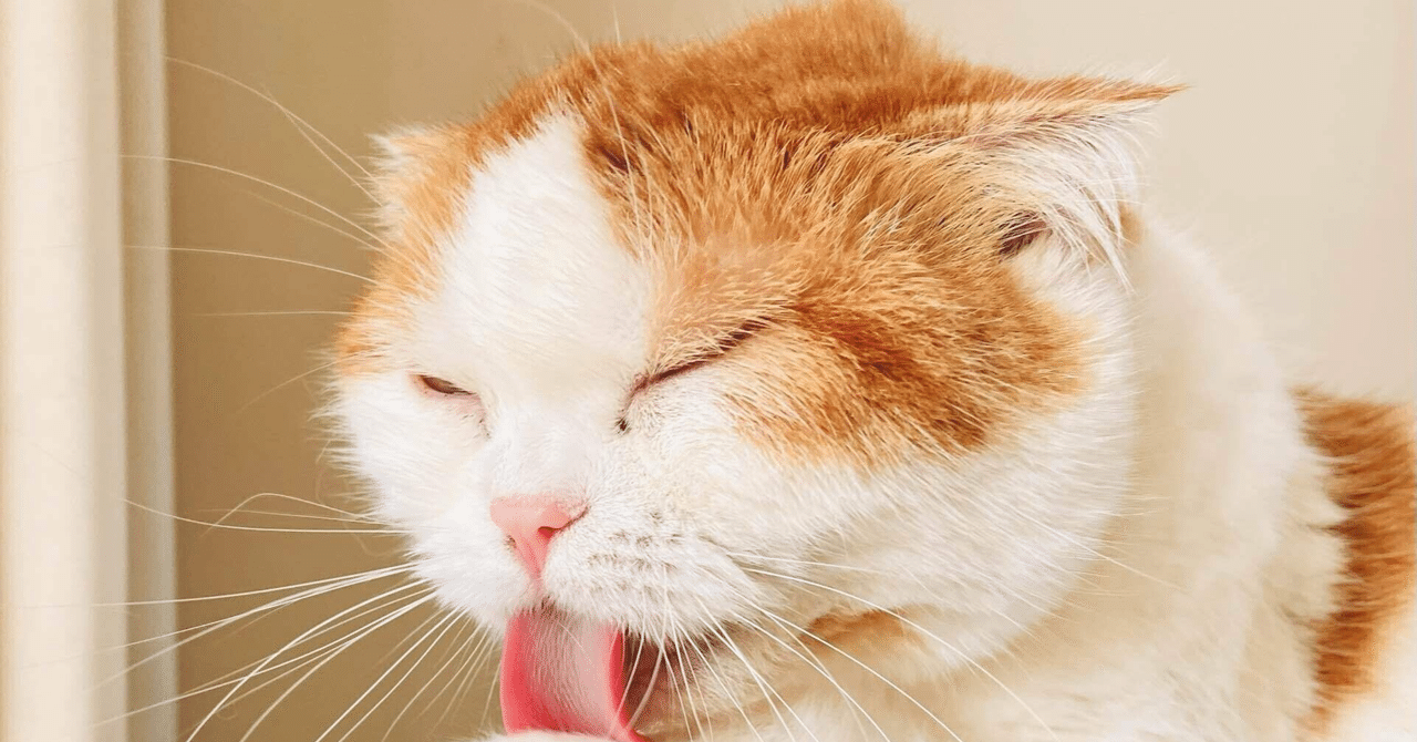 現代における学校の役割は「ノイズ食堂」だ｜国武凜 / Rin Kunitake