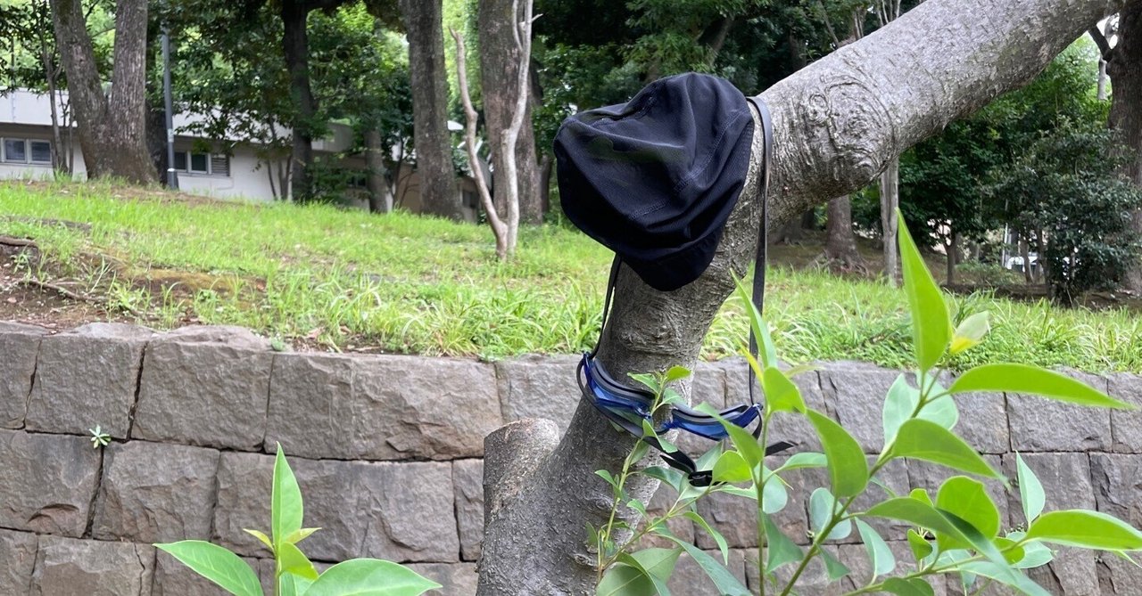 ありがとう週報72😉💕｜aoi kimura｜note