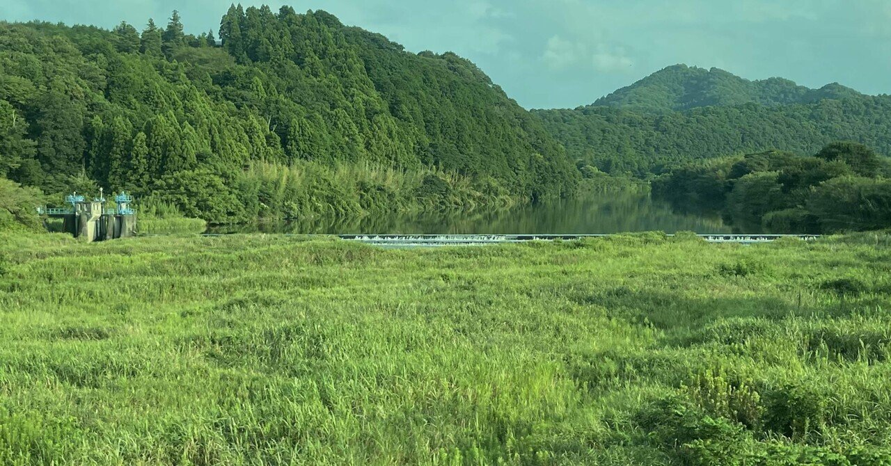 【帰ってきました】｜とある大学生