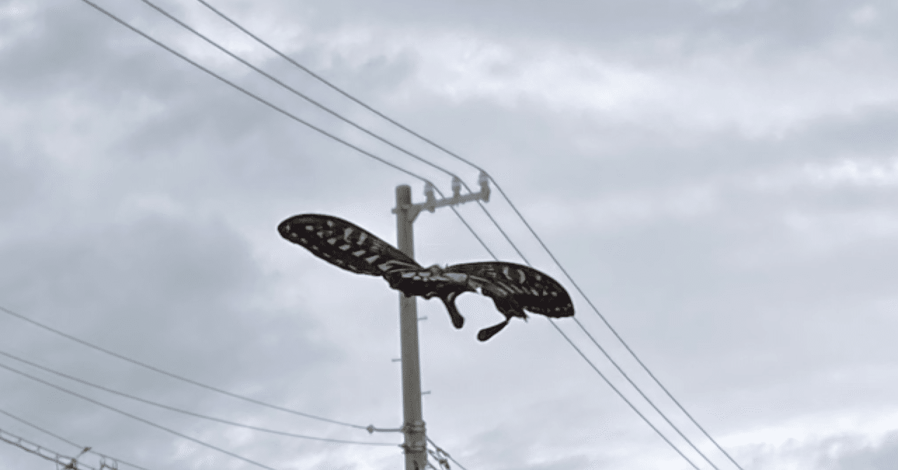 旅立つ日に。。🦋｜strawberryfuusen