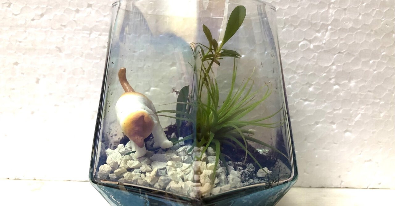 ふと・・・思う｜poporin