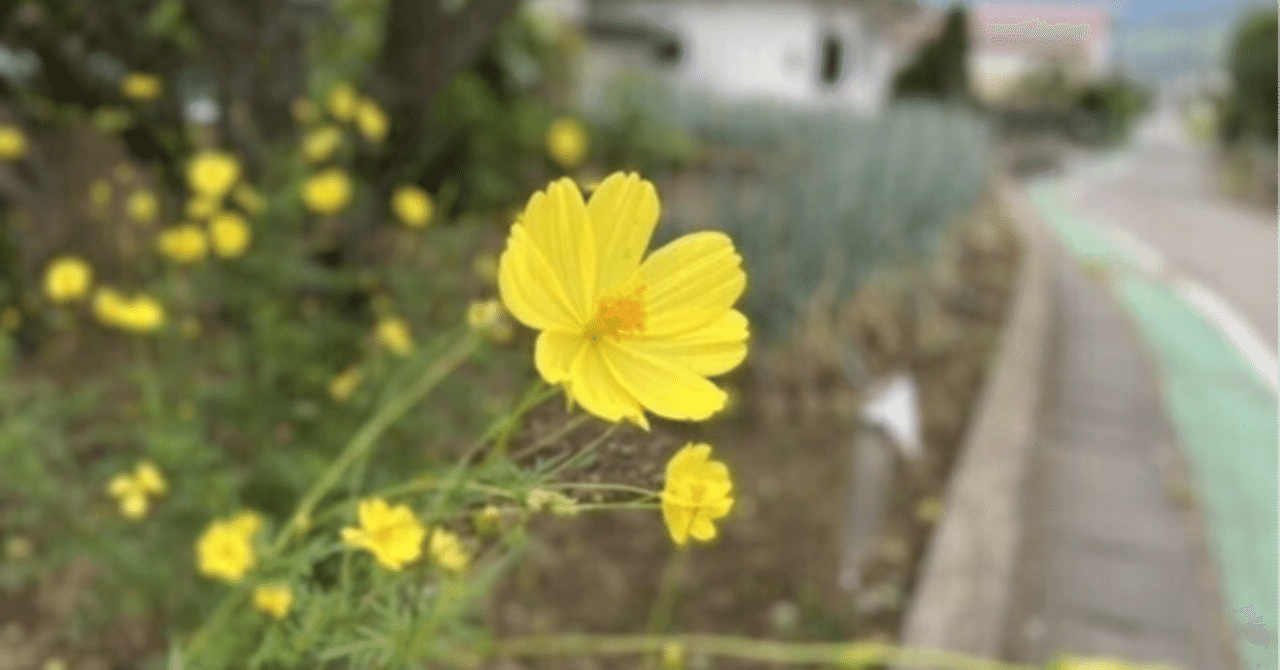 企画モノ｜ふゆもりゆきこ＠Webtoon原作構成コンテ担当