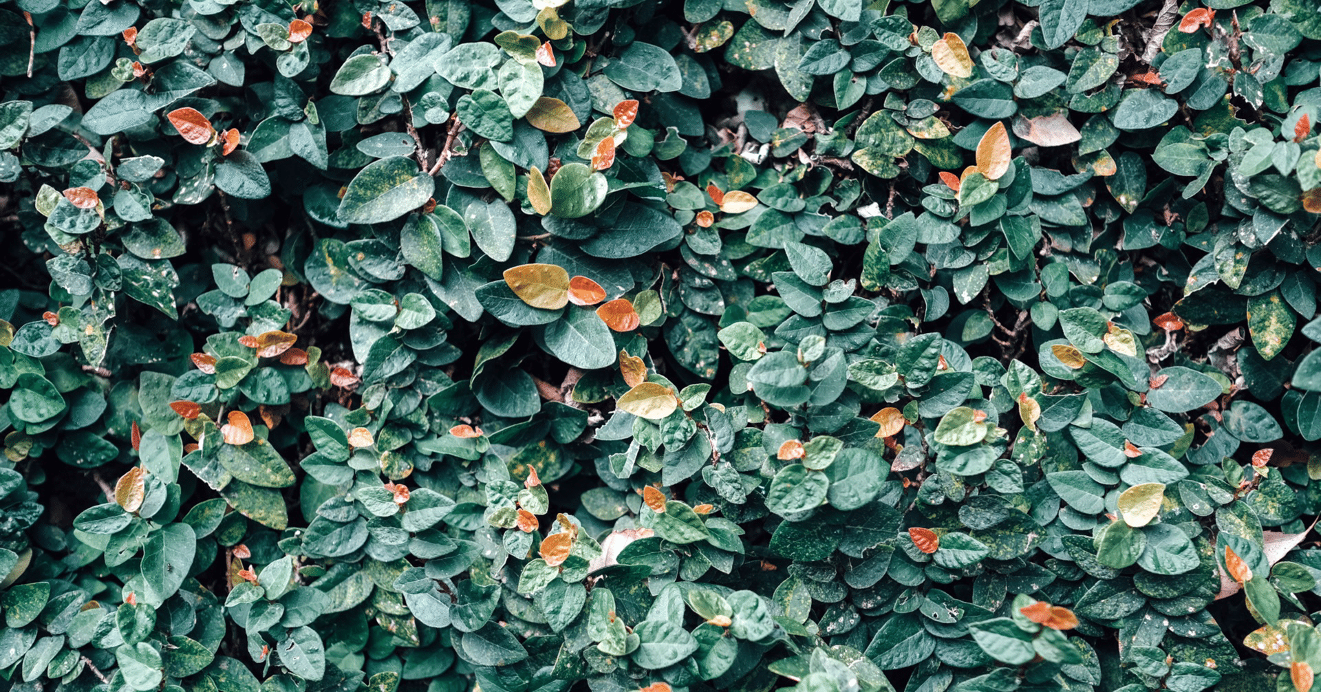 So Kudo 工藤崇｜note