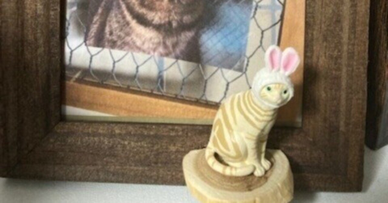 雫としずく、バロンとキティ｜しずくのサプリ