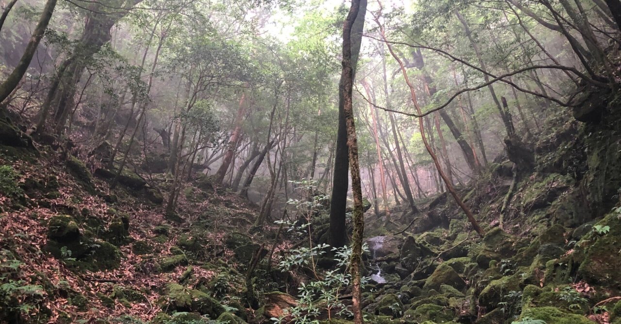 小規模事業者持続化補助金の対象｜しおしお@特別なことをしない不動産投資