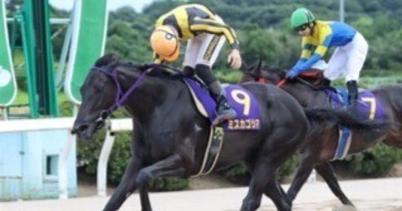 8/28(日)新潟11R 15:45発走 新潟2歳S👑｜単複の天ちゃん