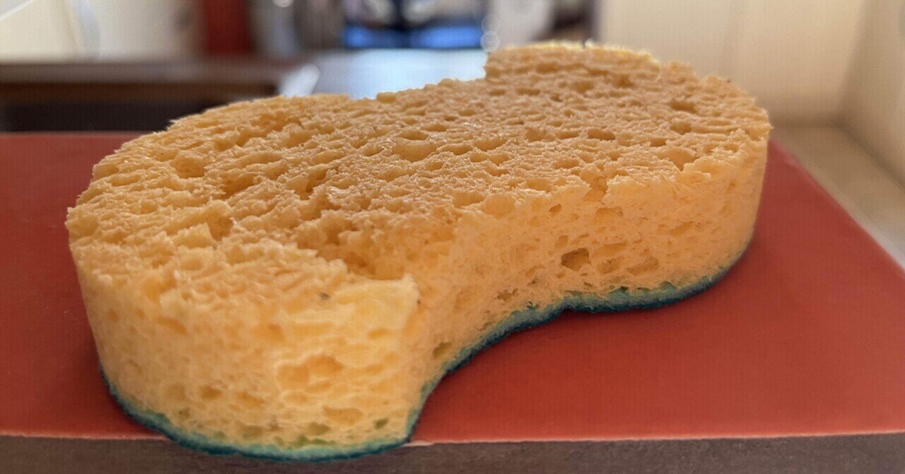 フランスのスポンジの話｜Mayuko TT