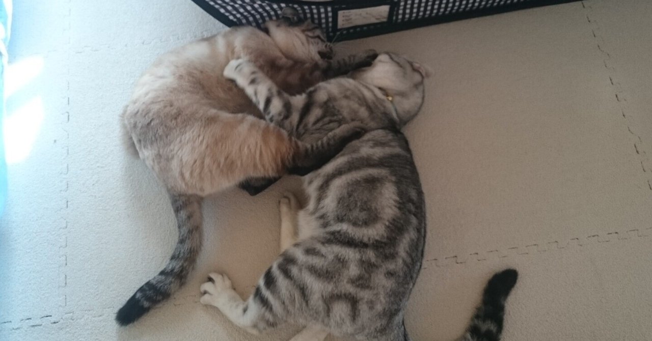 奇跡講座WB実践57 復習31～35｜(Linp&Ruru)本当の自分を知り、本当の自分として生きる