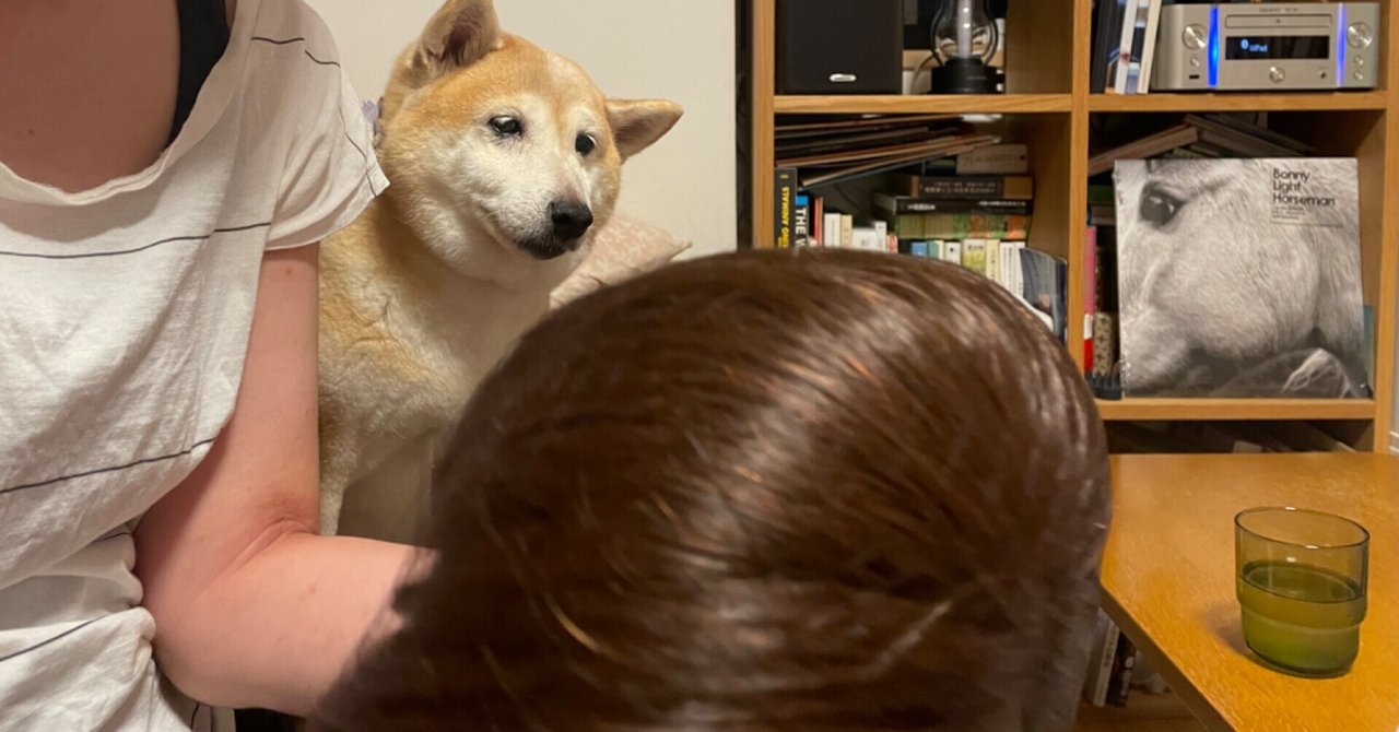 かつらを買いました｜Kana_days