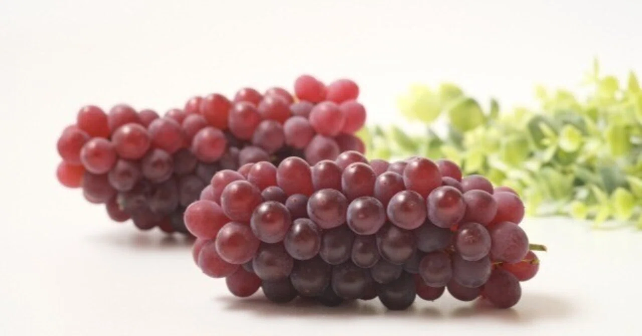 In Season Now! How to Identify and Easily Peel Delicious "Delaware" and ...
