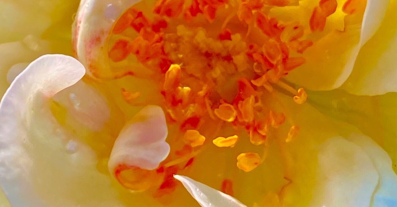 気づきを見逃さない｜TresMe@Keisuke