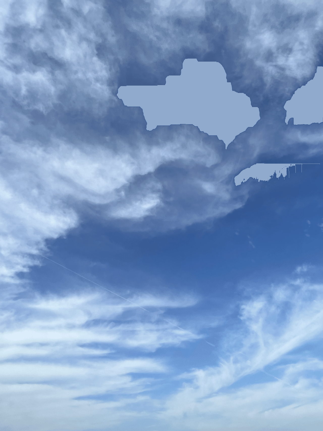 カマキリの旦那 ️糸が付いてますよ⁉️📷｜まるまるの虫 カメさん