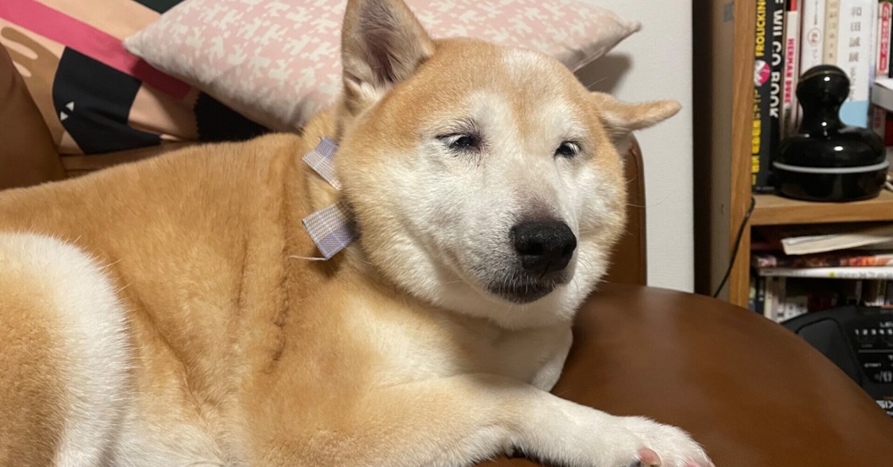 パクリタキセルと、カルボプラチンです｜Kana_days